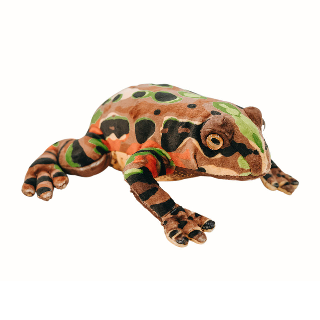 Archey's Frog soft toy – Auckland Zoo