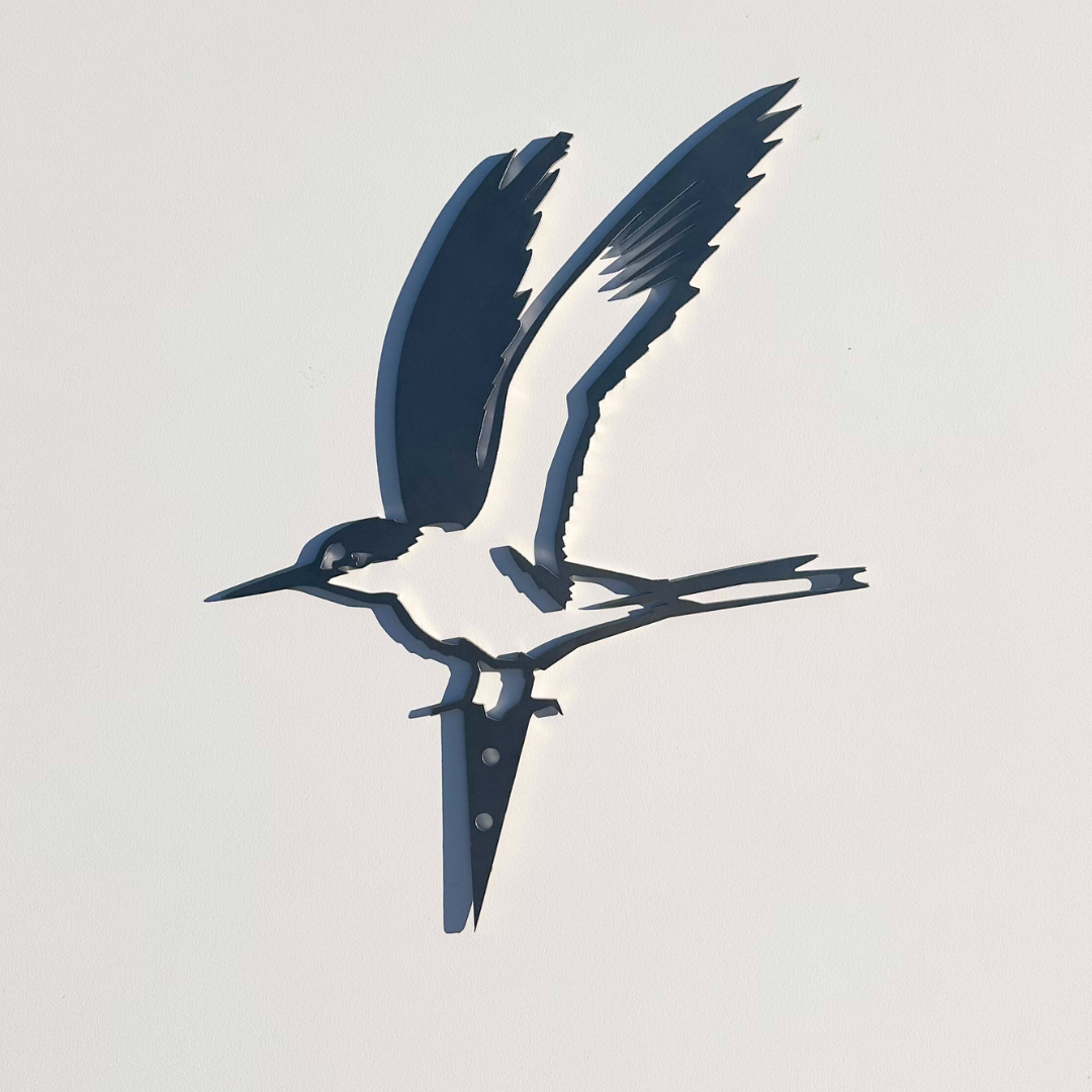 Metalbird Tara Iti – Auckland Zoo