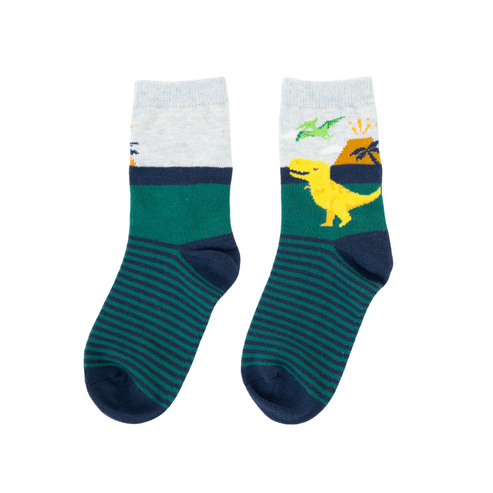 Totally T-Rex Kids Socks – Auckland Zoo