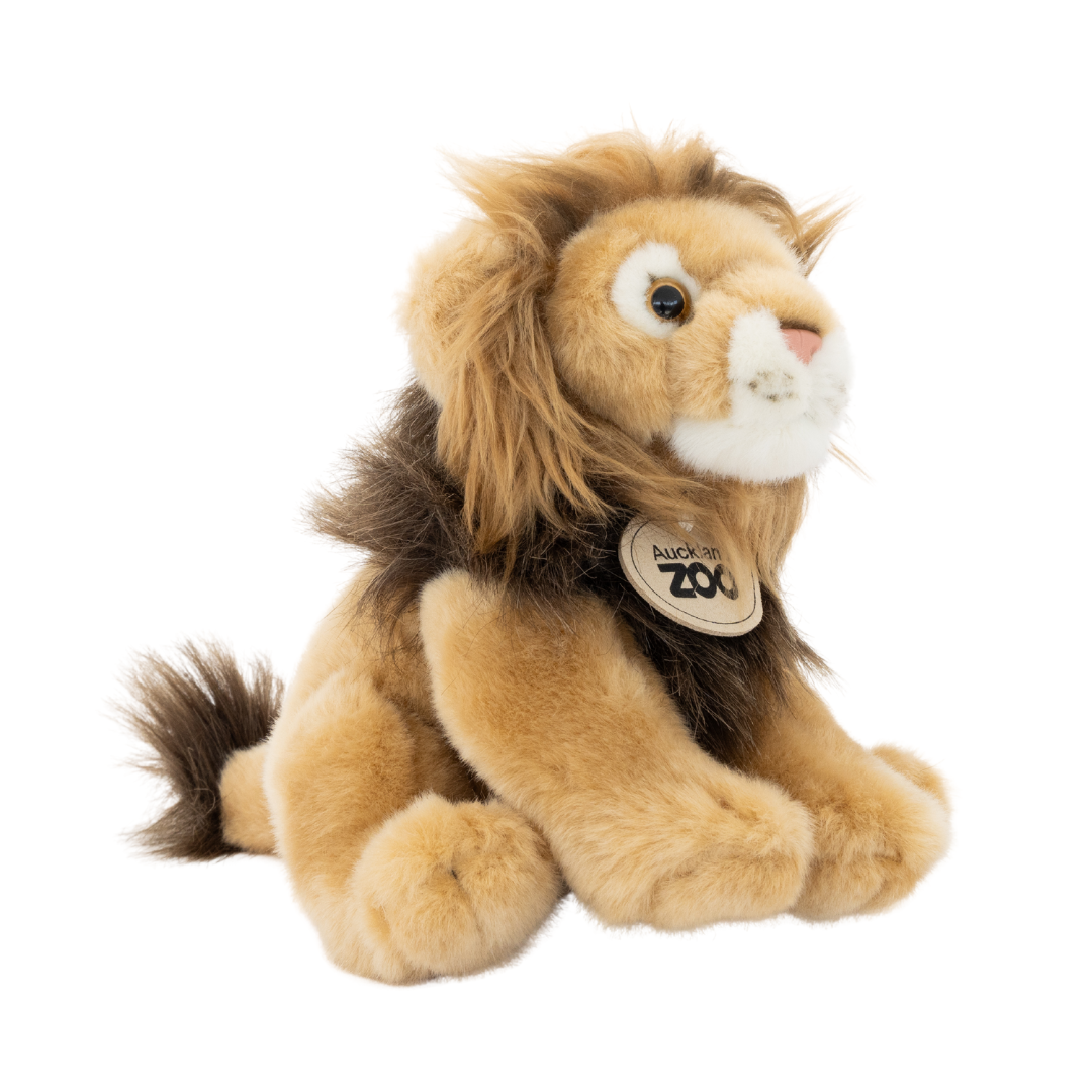 Auckland Zoo Lion soft toy