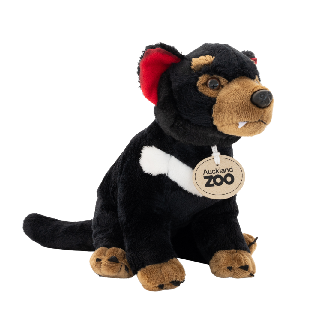 Auckland Zoo Tasmanian Devil soft toy