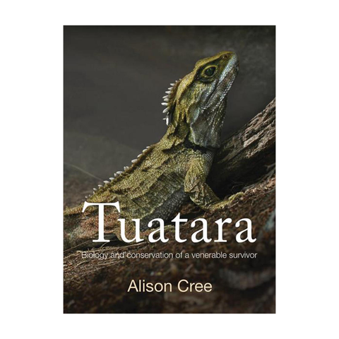 Tuatara Toy Large – Auckland Zoo